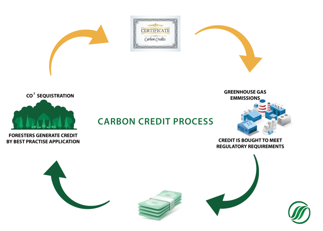 Africa Carbon Credits Initiative - SB Power